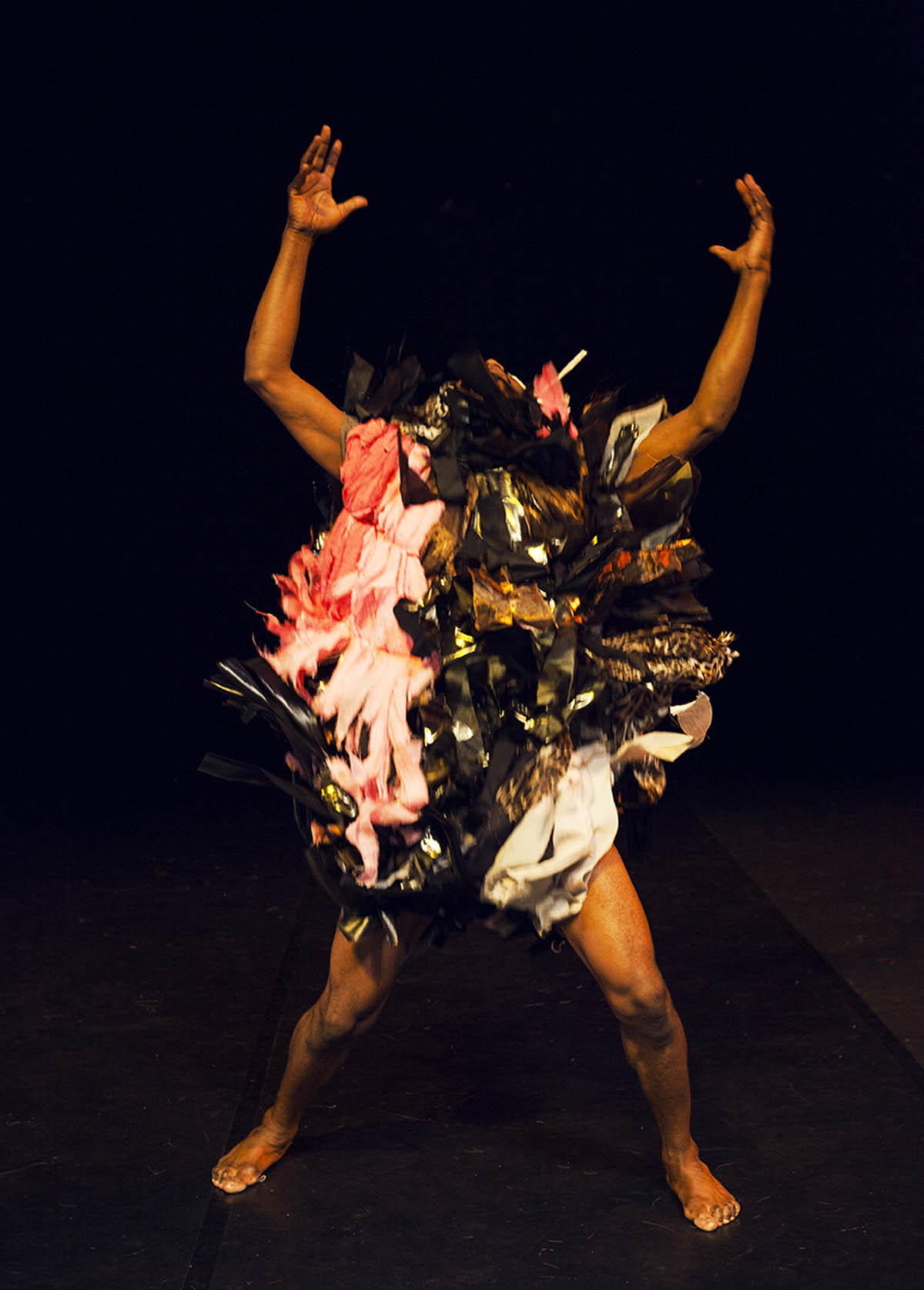 Jessica Nupen | REBELLION & JOHANNESBURG