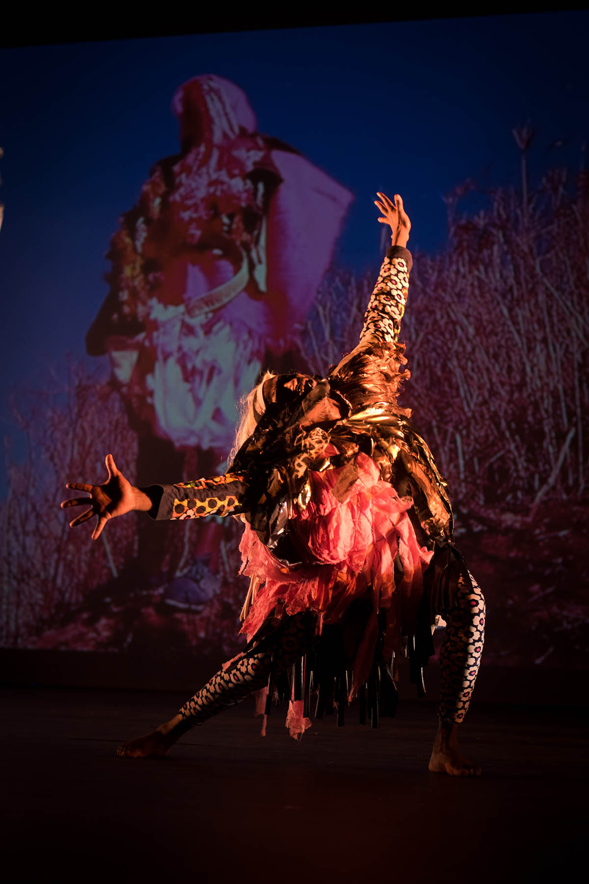 Jessica Nupen | REBELLION & JOHANNESBURG